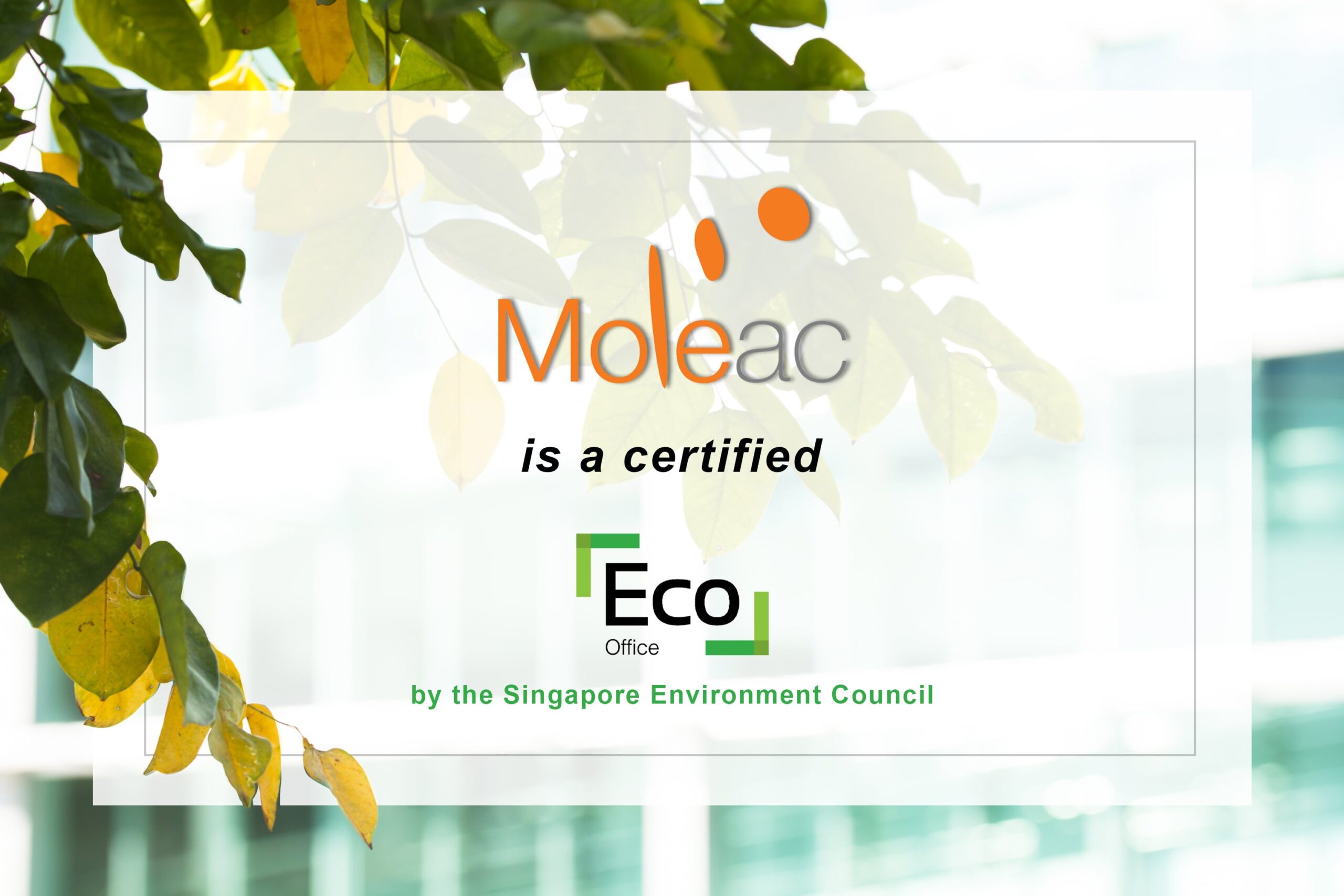 News | Moleac.com