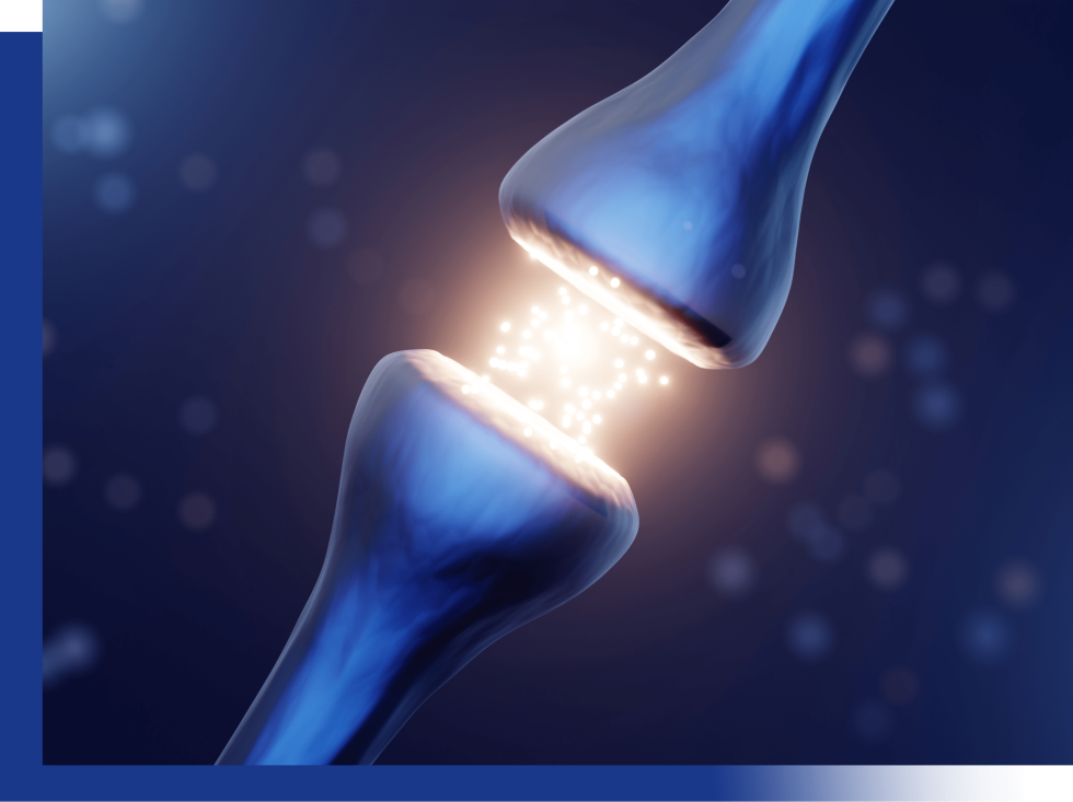 NeuroAiD™II | Moleac.com